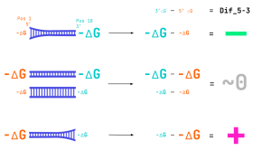 siRNA activity: Explainable AI uncovers underlying mechanisms.